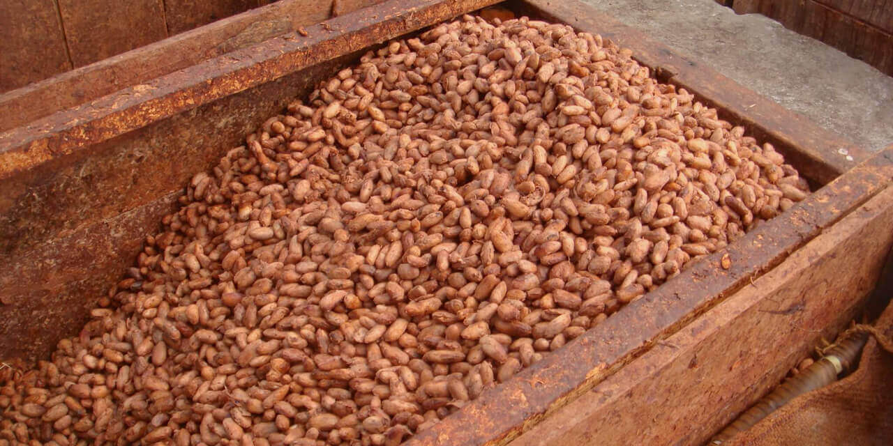 Gift From Nature - Van Aroma