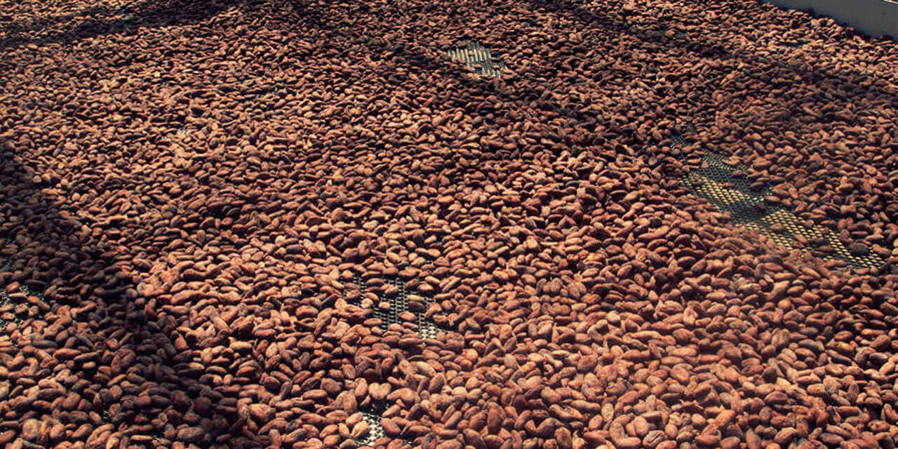 Gift From Nature - Van Aroma