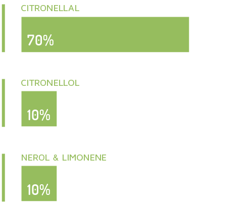 Gift From Nature - Van Aroma