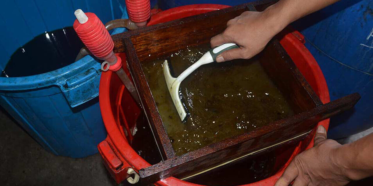 Gift From Nature - Van Aroma