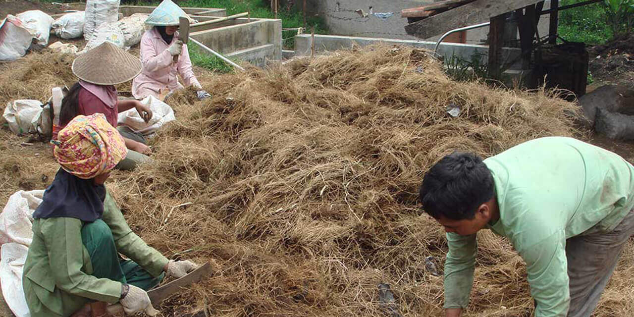 Gift From Nature - Van Aroma