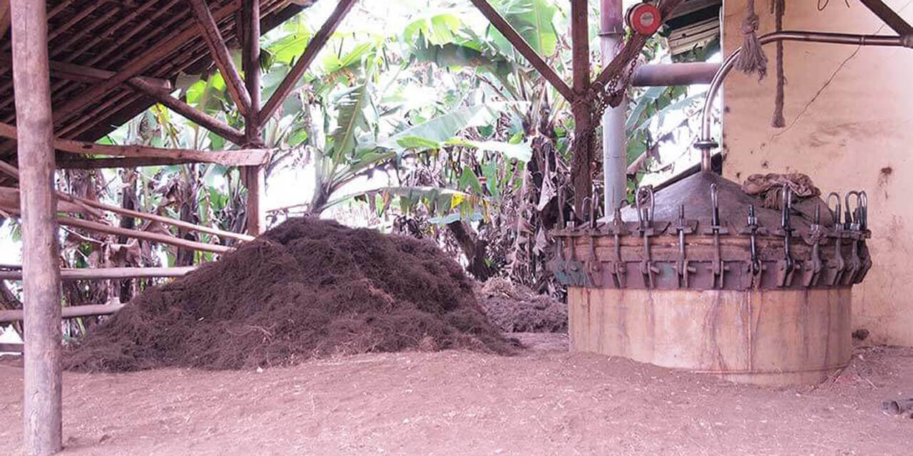 Gift From Nature - Van Aroma