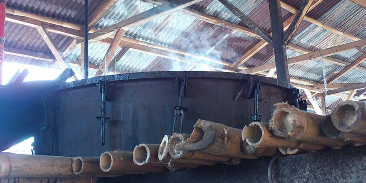 Gift From Nature - Van Aroma