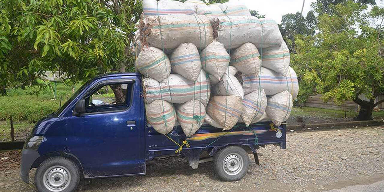 Gift From Nature - Van Aroma