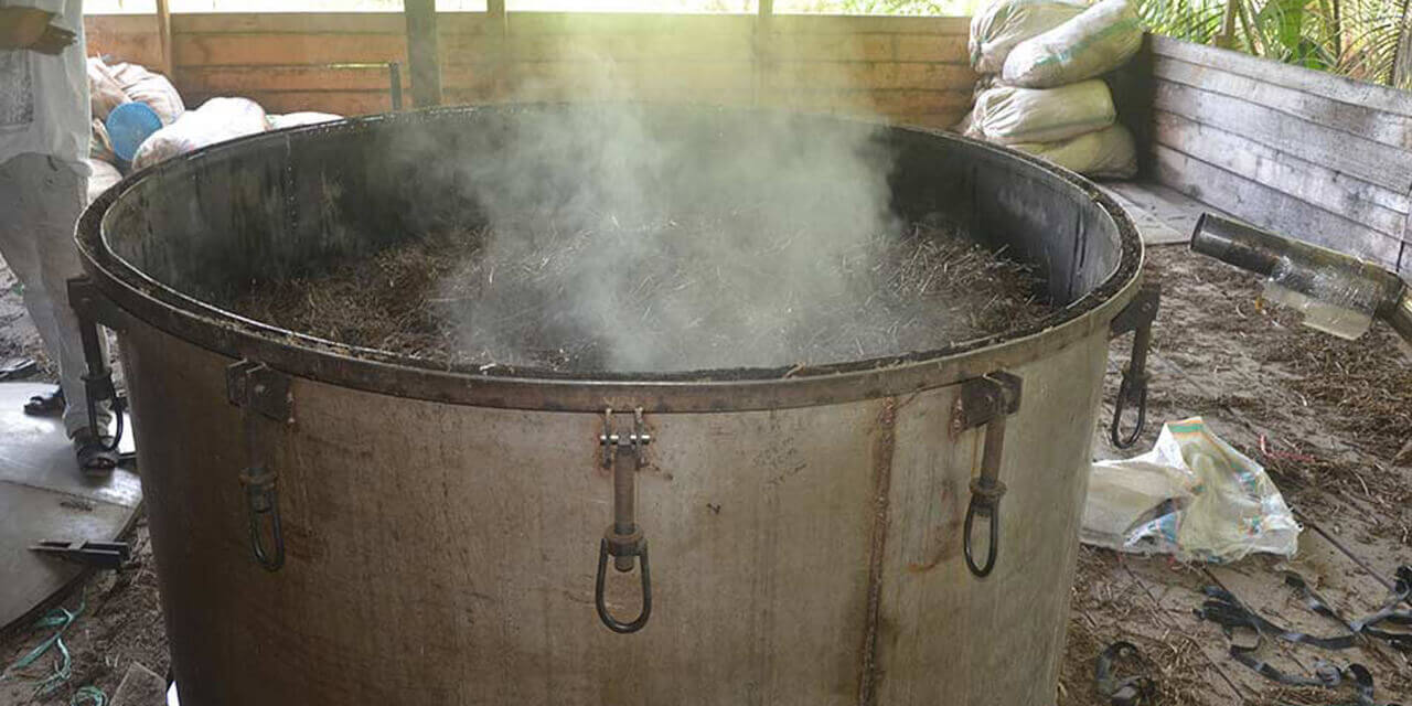 Gift From Nature - Van Aroma